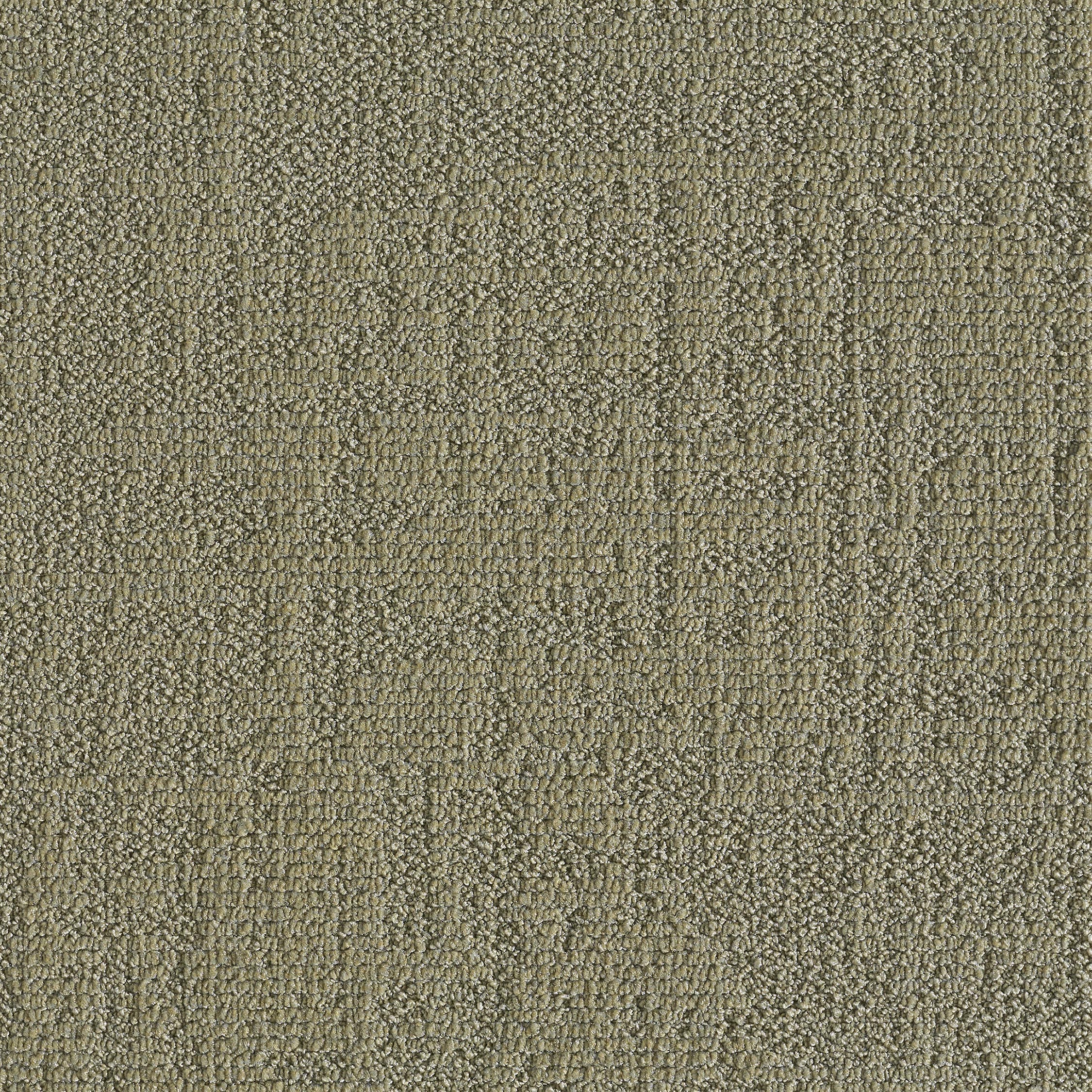 Discover our Wide Selection of Carpets | Ege Carpets